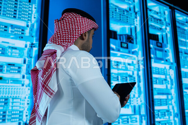 Facilitating access to information through database systems, a Saudi ...