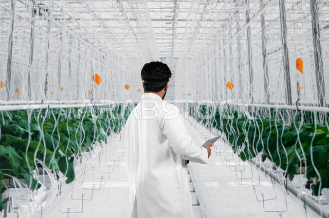 Pollination of plants in laboratories, the cultivation system with ...