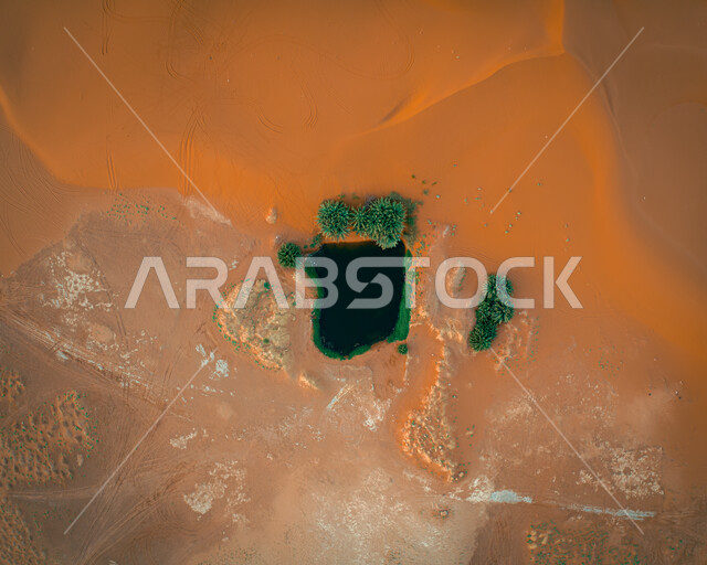 A picture from above of the Brodan Oasis in the Najd region in Riyadh ...
