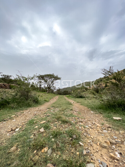 Trees and green plants in the Al-Soudah Mountains in Asir in the ...