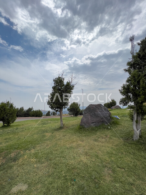 Landscapes in Al-Baha, herbs, trees and green plants in Prince Mishari ...