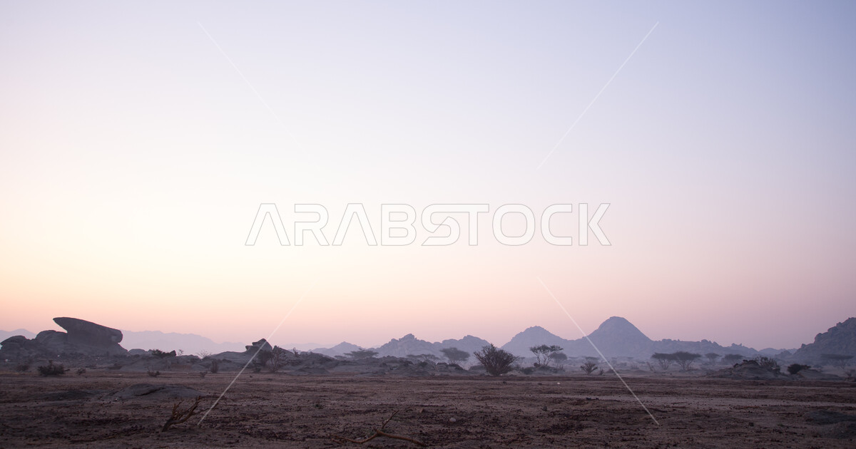 Green wild herbs and plants, mountain peaks and heights, rocky stones ...