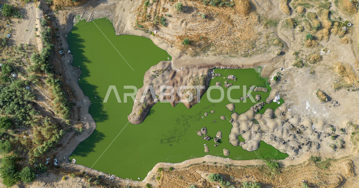 Vertical aerial photography of a water lake in the desert areas, green ...