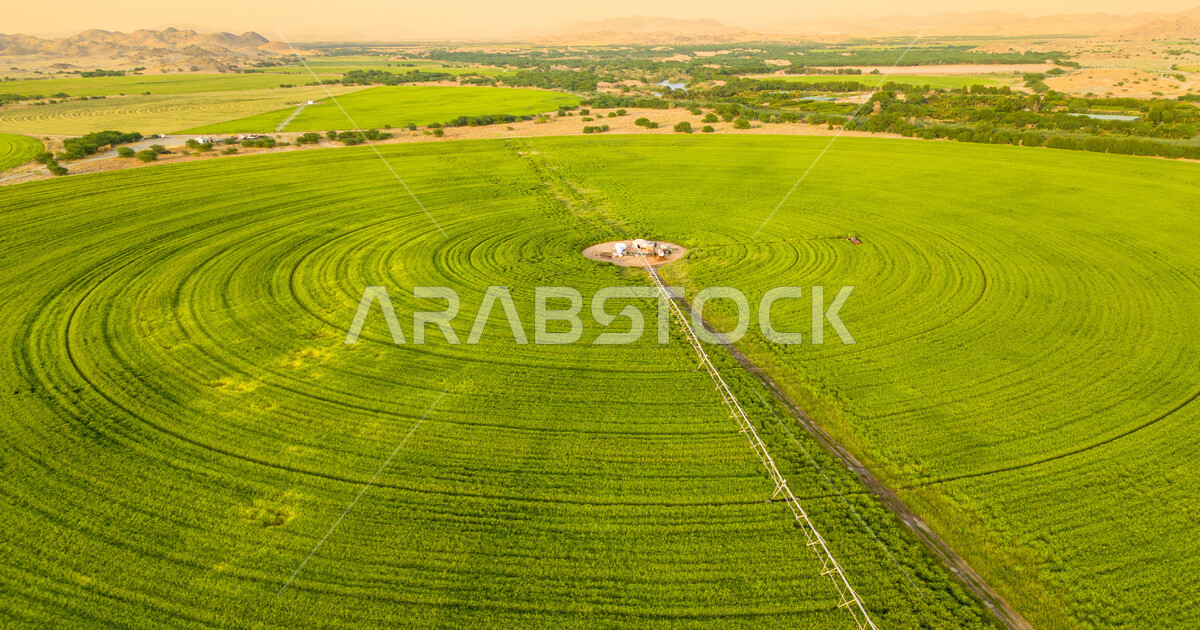 Circular agricultural fields in large areas in Saudi Arabia, the use of ...