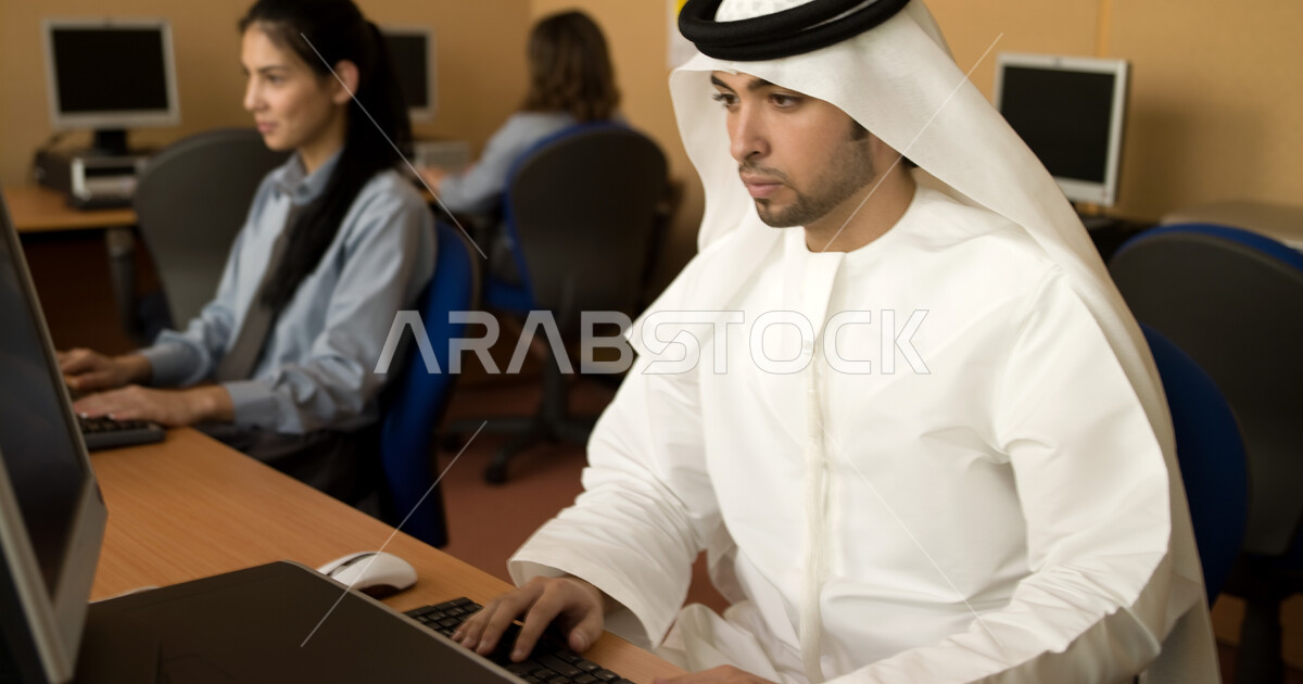 Developed curricula and e-learning in the Emirates, practical ...
