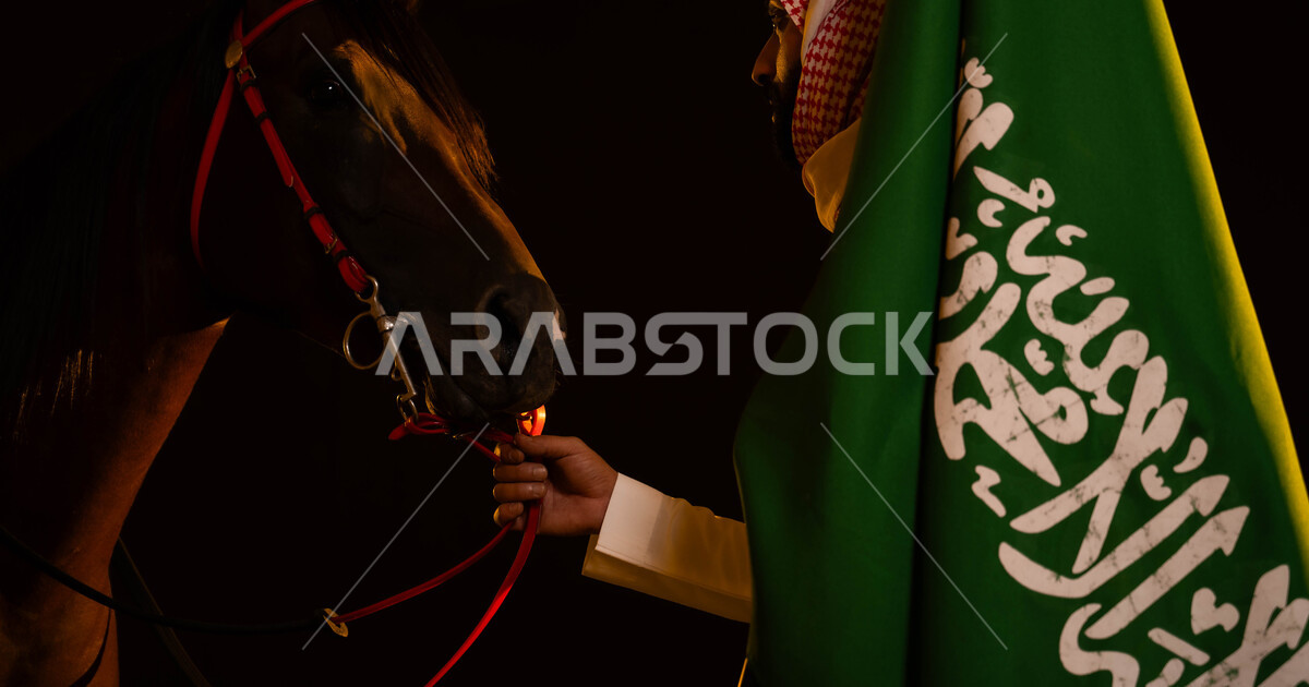 Commemoration of Saudi Flag Day, March 11, celebrating with horses on ...