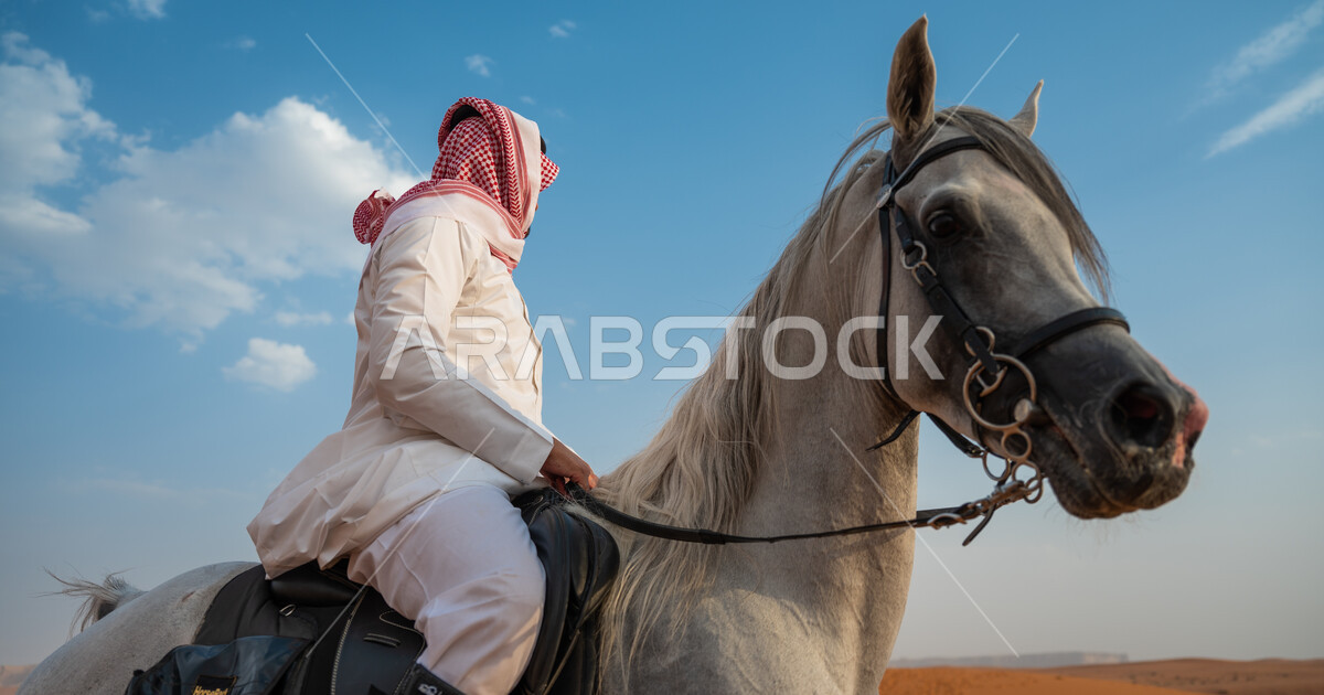 Horse riding activities in the desert, equestrian passion and horse ...