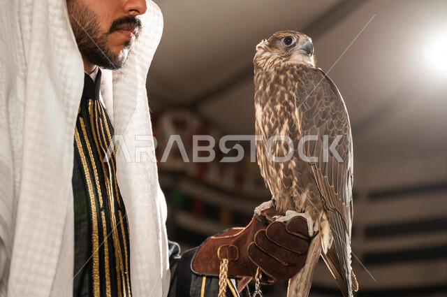 The great position of the falcon in Saudi history, looking and focusing ...