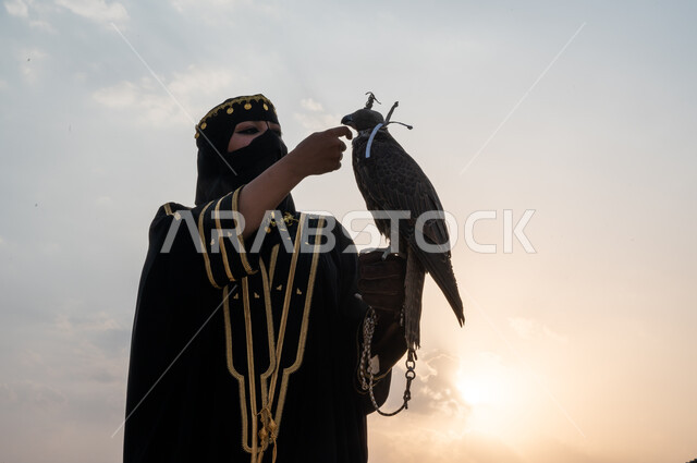 Training and taming birds of prey in wild natural reserves, the ...