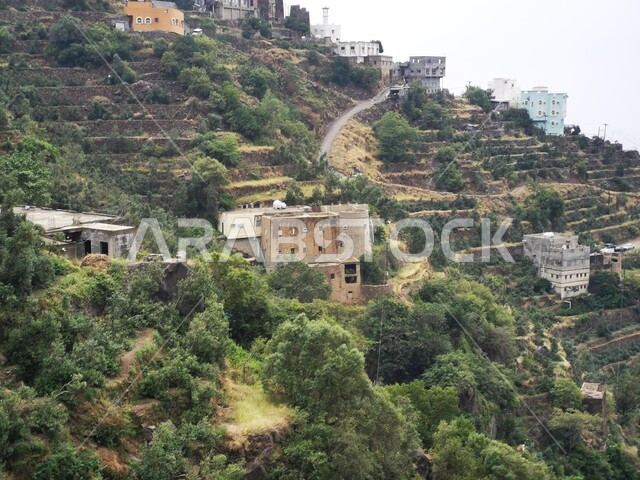 Green agricultural terraces in Saudi Arabia, houses and residential ...