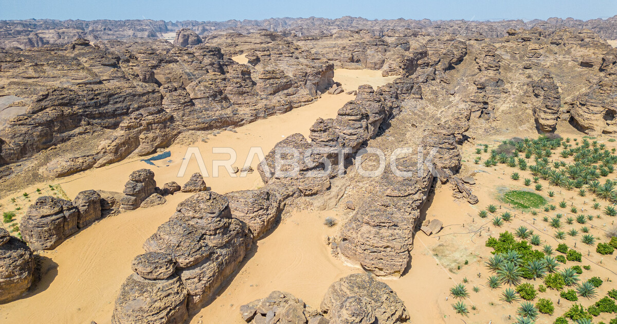 واحات النخيل في المناطق الصحراوية، صورة من الاعلى للقمم والمرتفعات ...