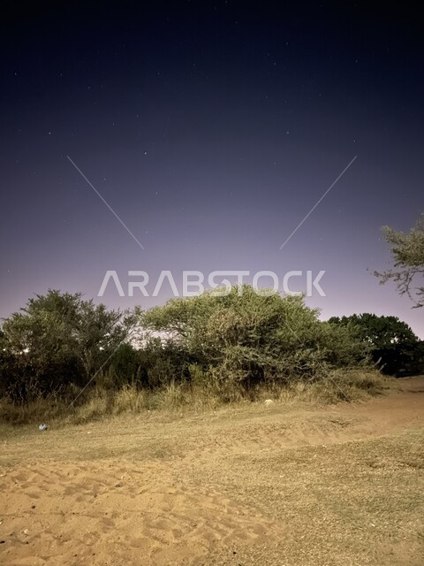 Excursion places in the Kingdom of Saudi Arabia, trees and green plants ...