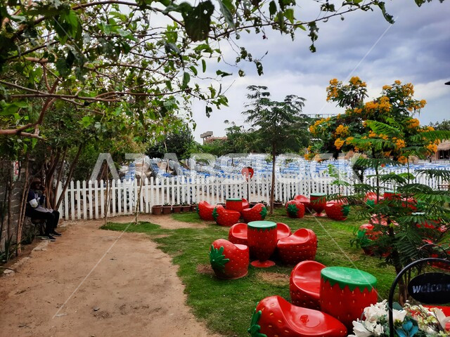 Red strawberry-shaped chairs, the most important tourist areas in Taif ...