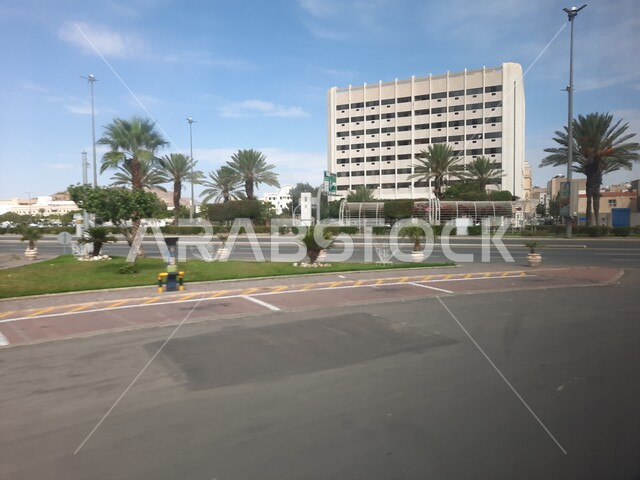Paved streets in the Kingdom of Saudi Arabia, interest in planting ...