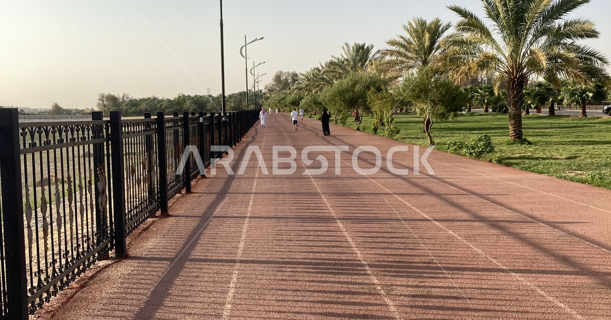 Paying attention to afforestation and increasing green spaces on both ...