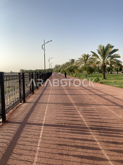 Paying attention to afforestation and increasing green spaces on both ...