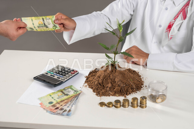 Work in account management, statistics and bank loans, office work ...