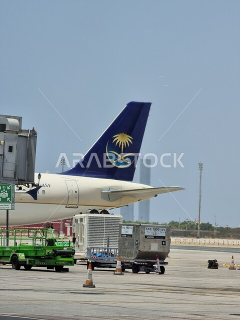 The logo of the Kingdom of Saudi Arabia on an Adele plane standing at ...