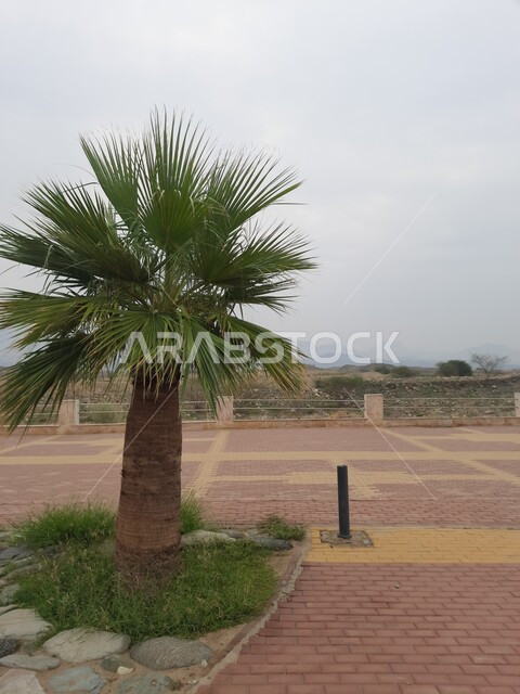 Walkway in the city of Al-Hujra in Al-Baha region in the Kingdom of ...