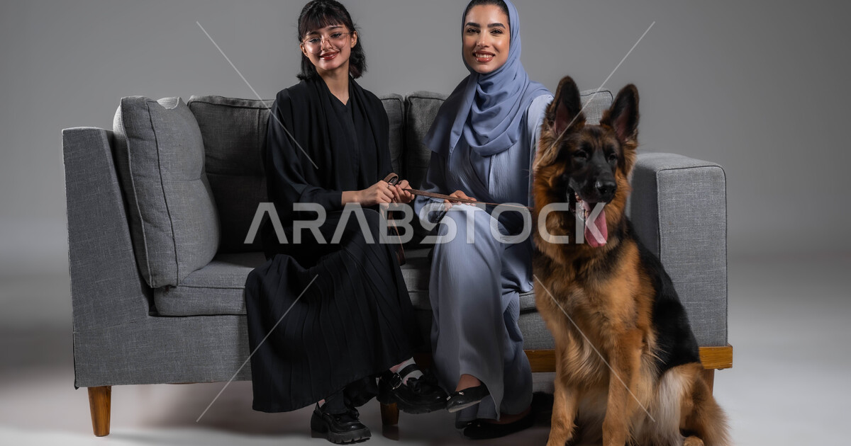 Raising pets at home, caring for and caring for animals, looking at the ...