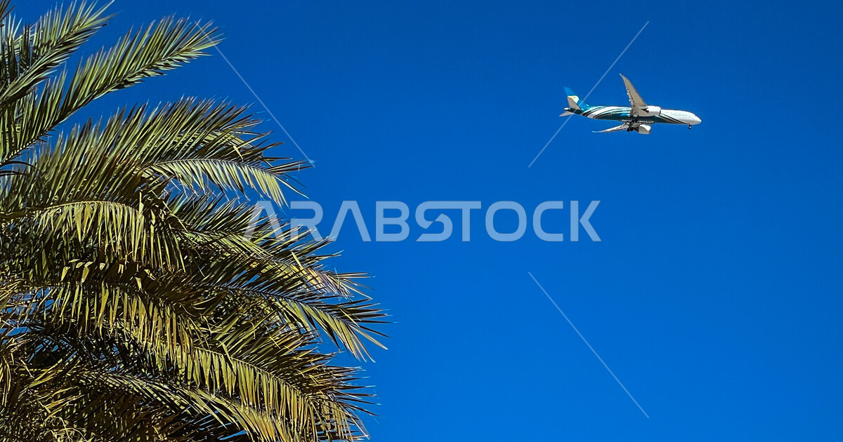 Saudi Airlines, a plane flying in the sky of the Kingdom, means of ...