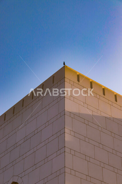 A small bird standing on the wall of Al-Alam Palace in the Sultanate of ...