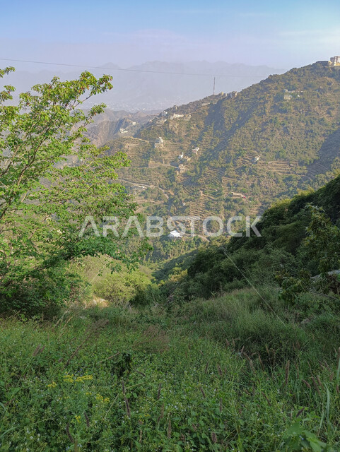 Green agricultural terraces and trees on the mountain peaks and heights ...