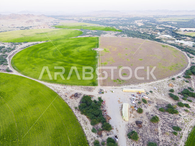 Comparison between fertile and dry lands, local crops in the Kingdom of Saudi Arabia, green ...