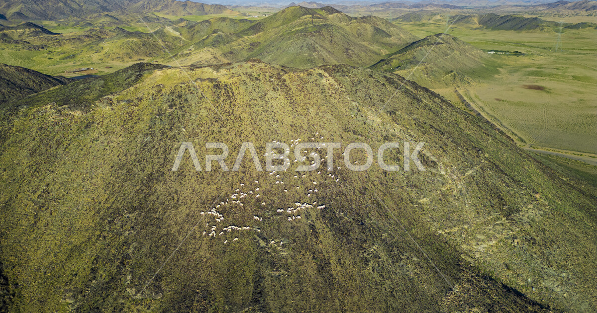 Peaks and heights of mountains and rocky hills in the city of Mecca ...