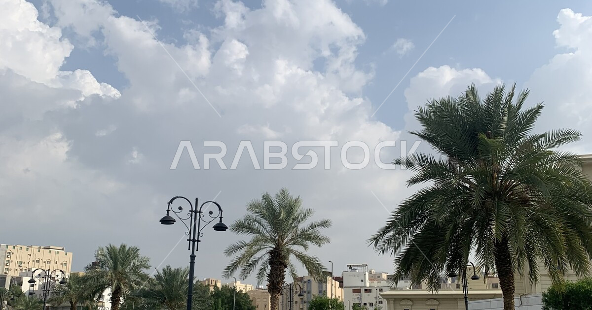 Public parks in the Kingdom of Saudi Arabia, towers and skyscrapers in ...