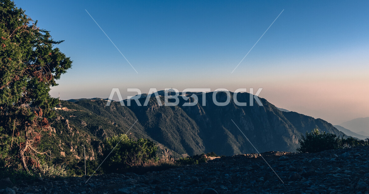 Trees, grasses and green plants in the Al-Souda Mountains in the Asir ...