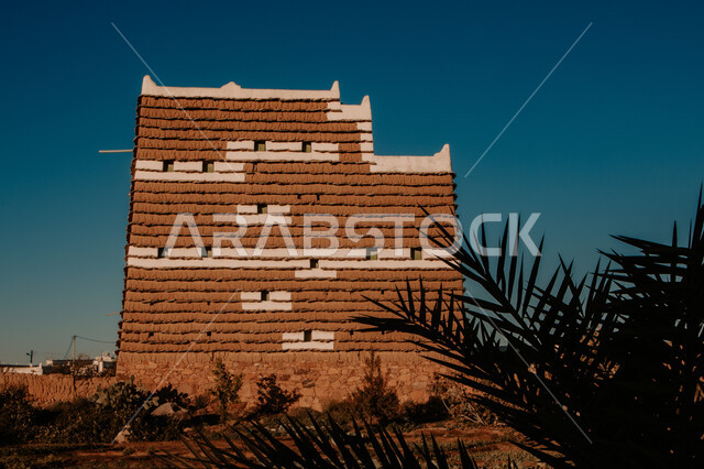 Trees and green natural plants in tourist cities, windows in ancient ...