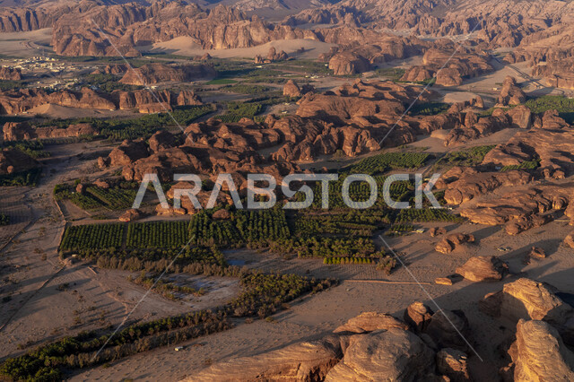 AlUla Valley in the Kingdom of Saudi Arabia, trees, plants and green ...