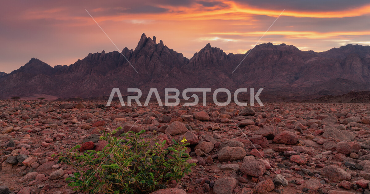 Rocky peaks and terrain in the Tabuk region in the Kingdom of Saudi ...