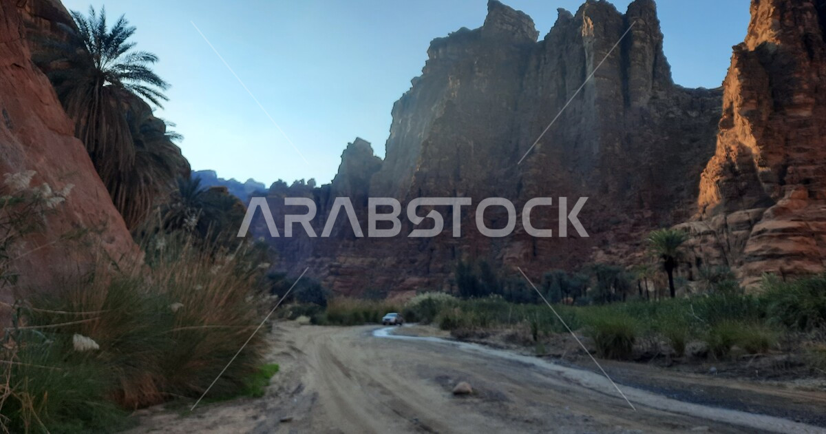 Topography and rock sculpture, green wild plants in desert areas ...