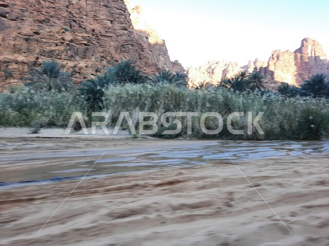 Topography and rock sculpture in Wadi Al-Disah in Tabuk, natural ...