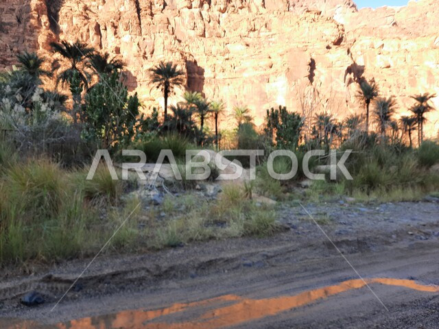 Topography and rock sculpture in Wadi Al-Disah in Tabuk, natural ...