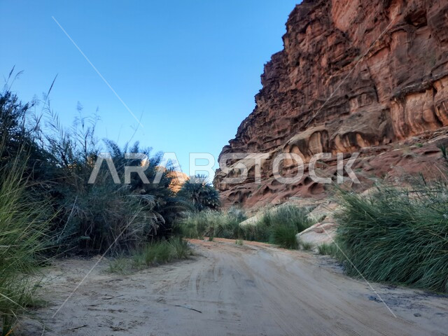 Topography and rock sculpture in Wadi Al-Disah in Tabuk, natural ...