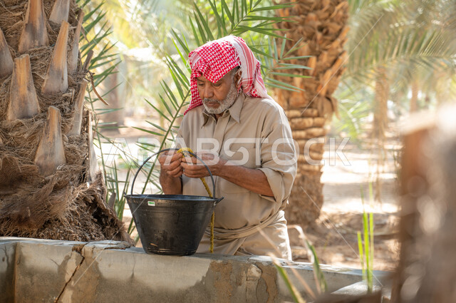 The role of Saudi farmers in caring for agricultural lands. An elderly ...