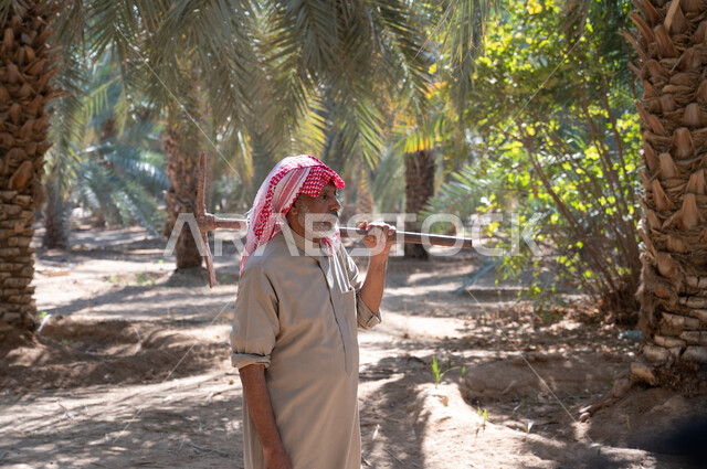 The role of Saudi farmers in preserving agricultural heritage and local ...