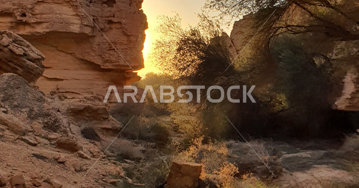 The charming natural reserves in Al-Barmah Cave in Riyadh, green wild ...