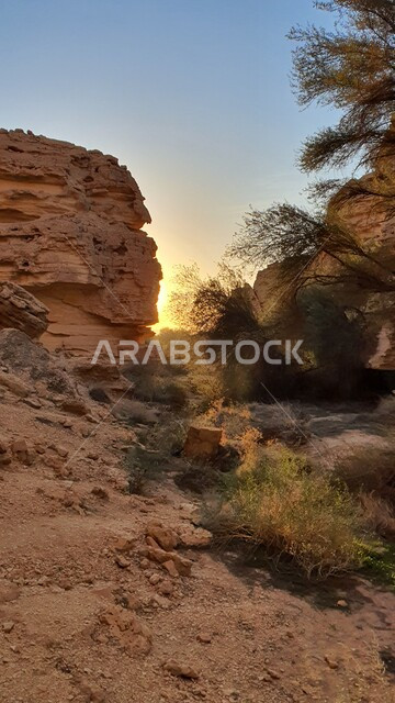 The charming natural reserves in Al-Barmah Cave in Riyadh, green wild ...