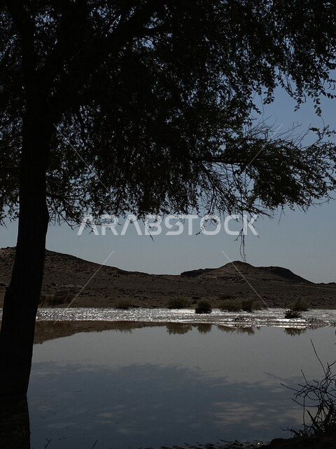 Nature in the Kingdom of Saudi Arabia, tourist places in the city of ...