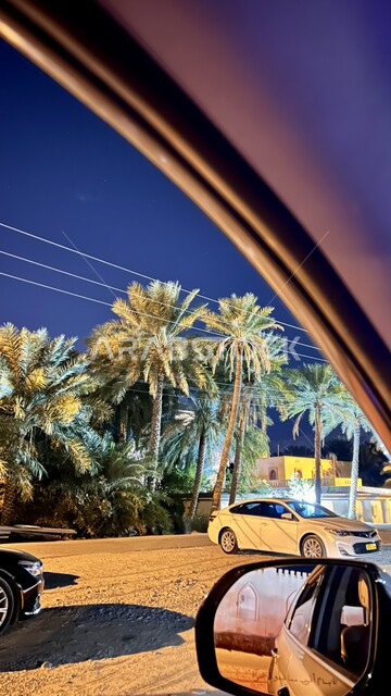 Interest in planting palm trees, Al-Rustaq Gate in the South Al-Batinah ...