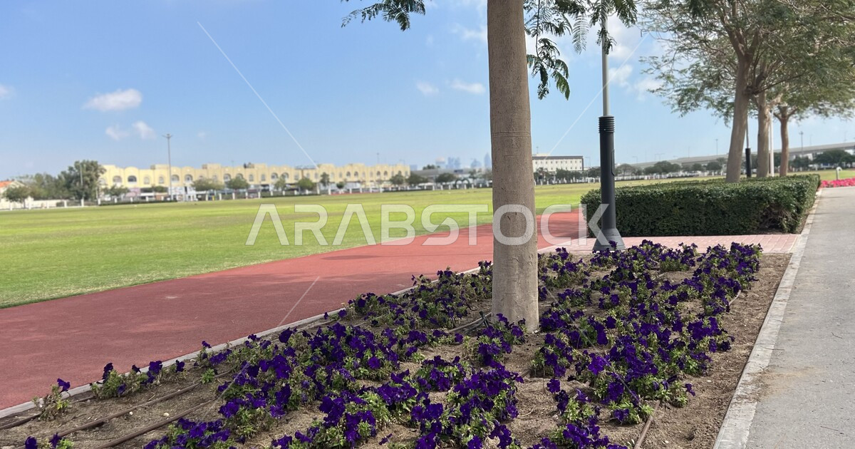 Afforestation and planting green plants and colorful flowers in the ...