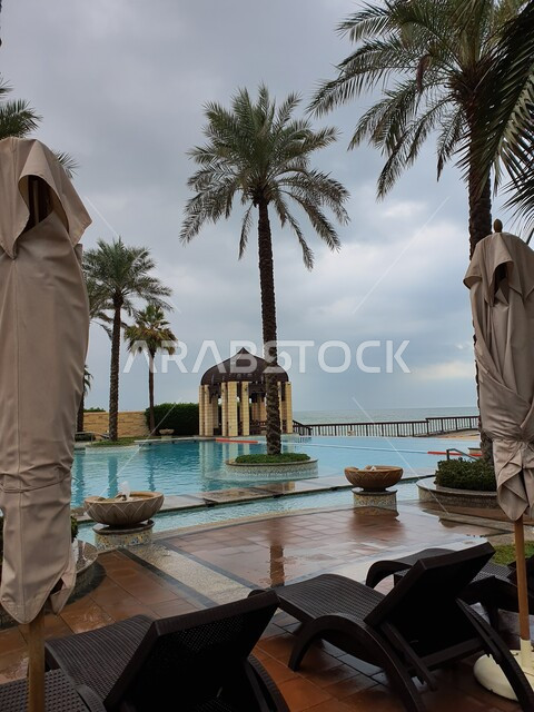 Family entertainment tourist places, palm trees surrounding a swimming ...