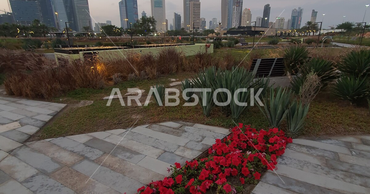 الورود الملونة والأعشاب الخضراء والمروج الطبيعية وقت الغروب، المنتزهات ...