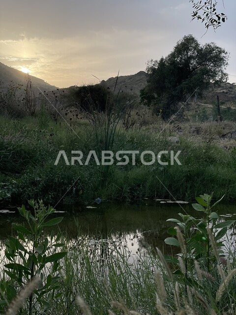 Mountain peaks and heights in the city of Taif in the Kingdom of Saudi ...