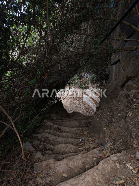 Agricultural terraces on the mountain peaks and heights in the city of ...