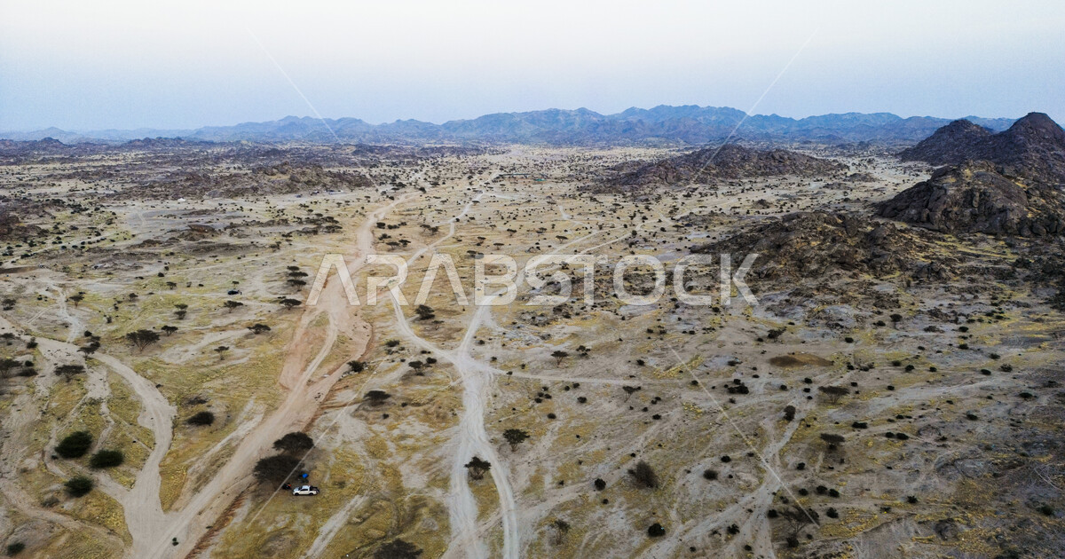 Landscape in remote areas, growth of green plants and wild herbs in ...